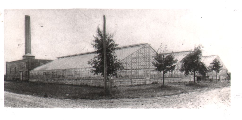 Busse Flowers Keeping Hometown Memories Alive Mount Prospect Historical ...